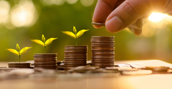 Finance - Bold Executives | Expert de l’intelligence RH